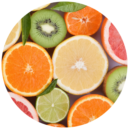 Ingredients – Revit